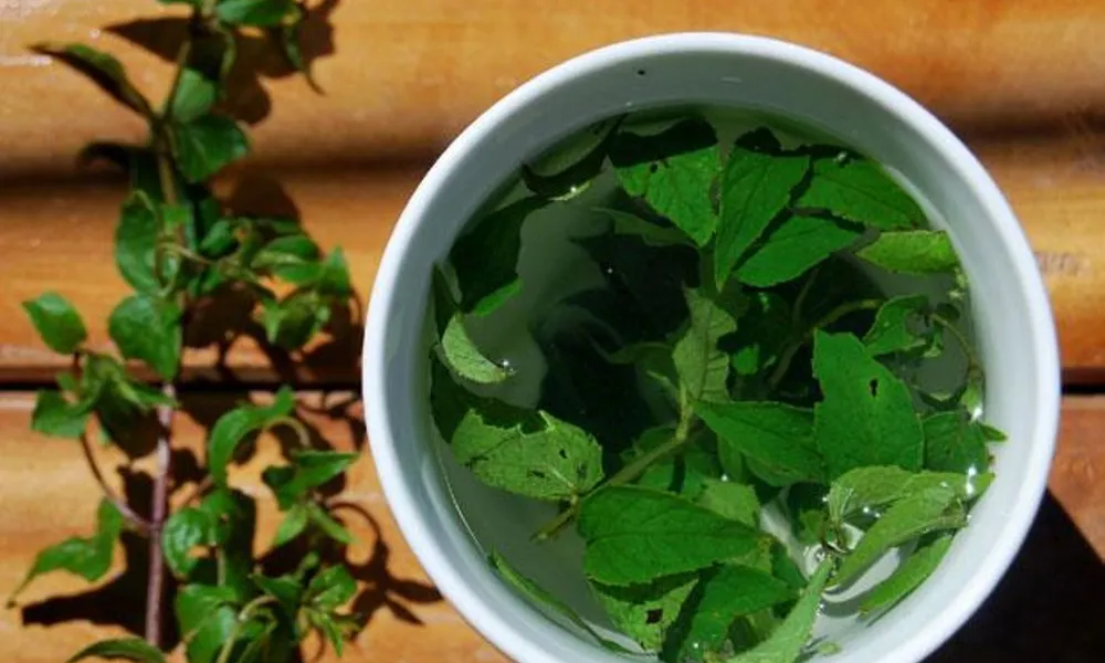 Marvelous Peru El pisco y la muña: tradición andina en la coctelería ...